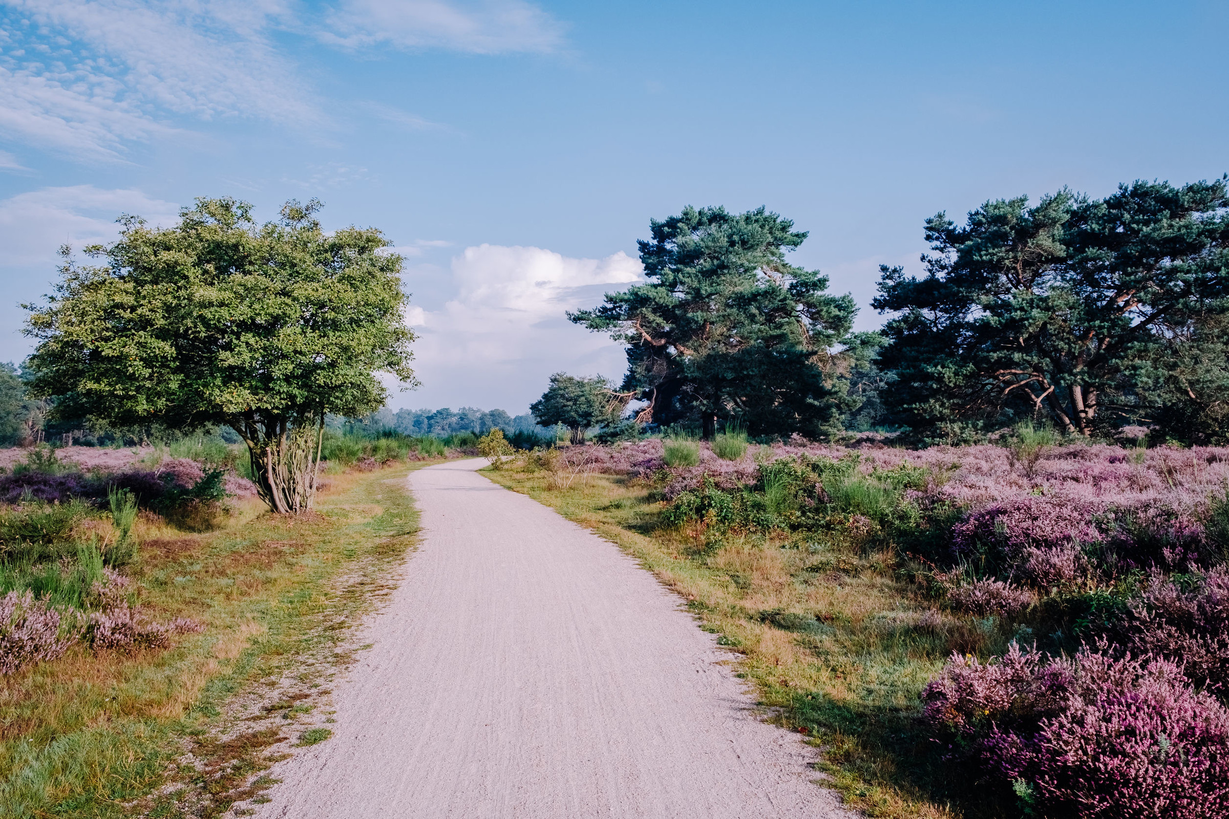 Arrangementen bij Van der Valk | Valk.com